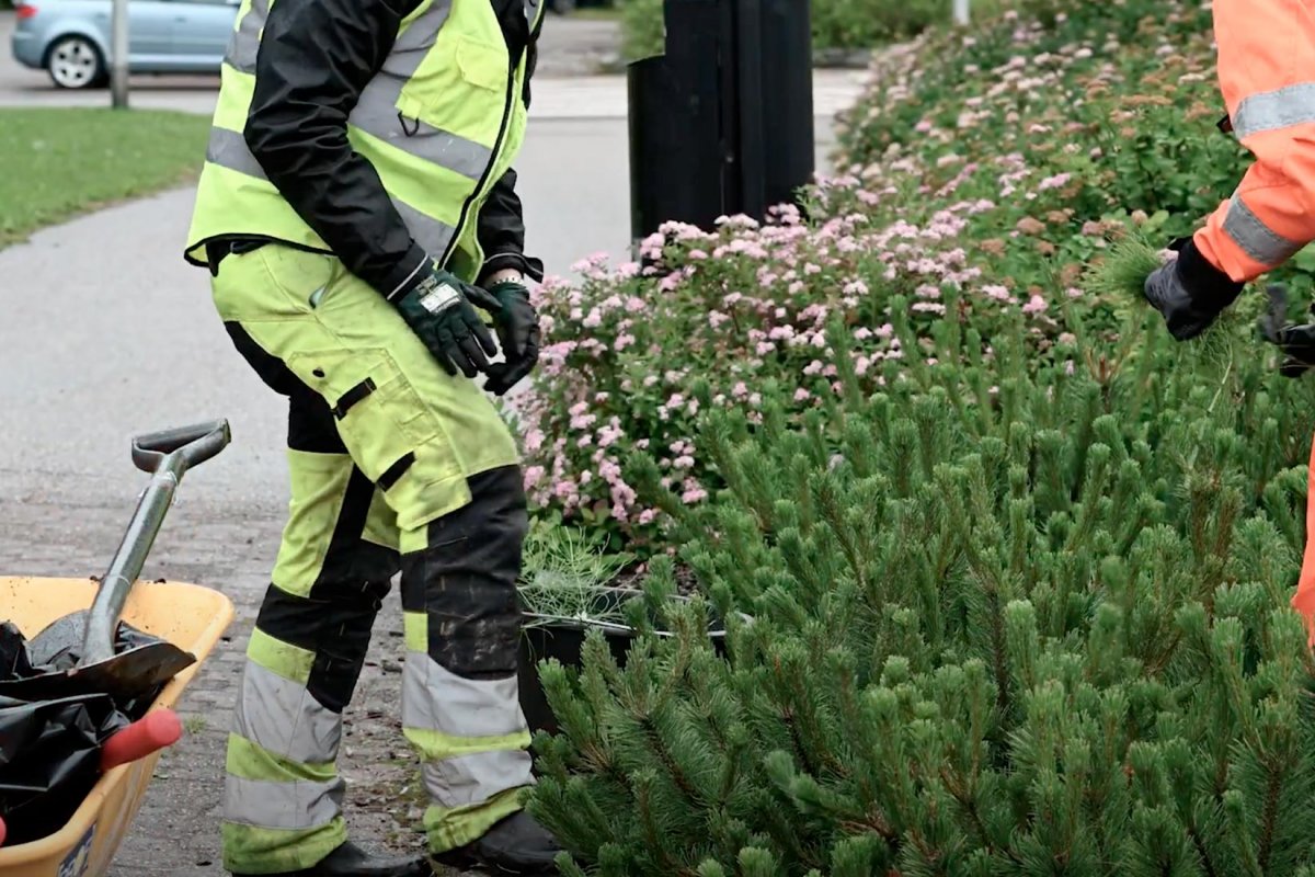 Strateginen kumppanuus viheralueiden hoidossa - Osa 1